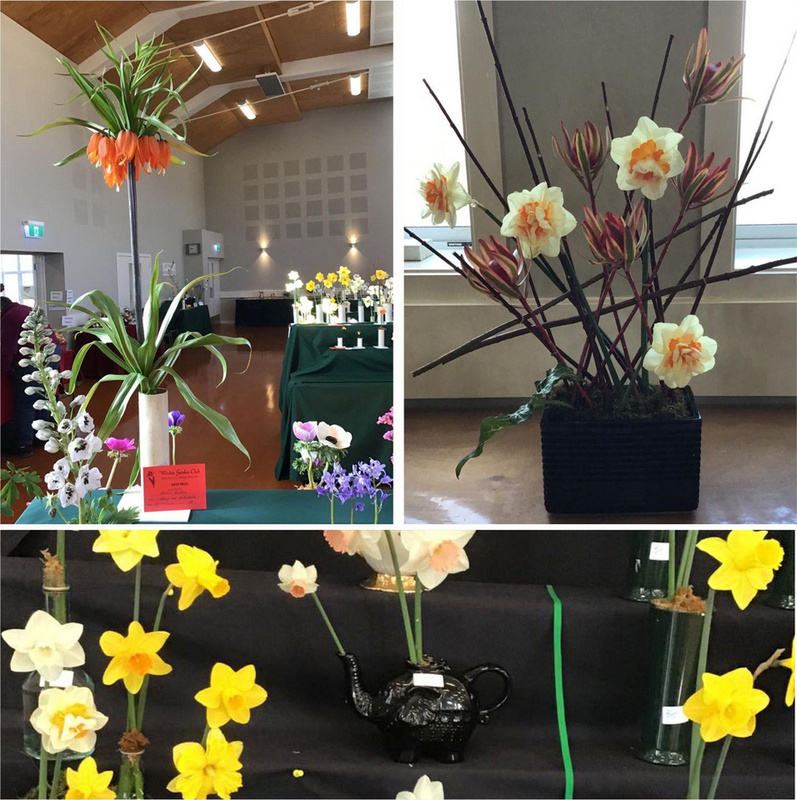 Winton's Spring Flower Show | Winton NZ