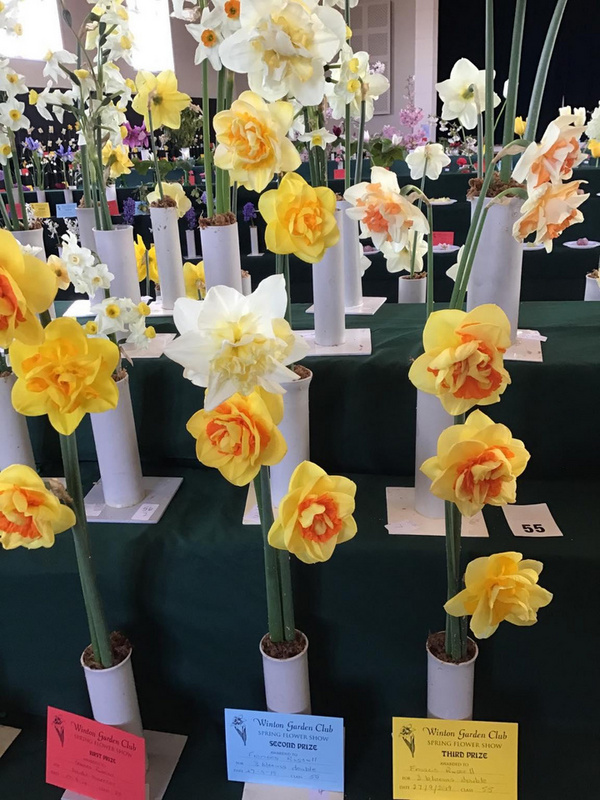 Winton's Spring Flower Show | Winton NZ