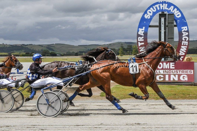 Winton Harness Racing Club | Winton NZ